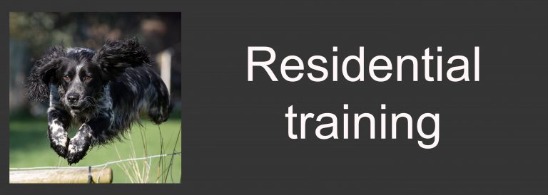 Jason Mayhew Gundog Training – Effective and enjoyable gundog training ...