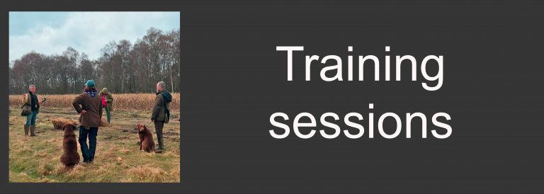 Jason Mayhew Gundog Training – Effective and enjoyable gundog training ...