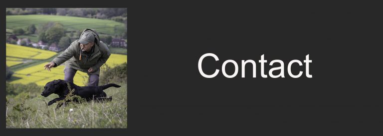 Jason Mayhew Gundog Training – Effective and enjoyable gundog training ...