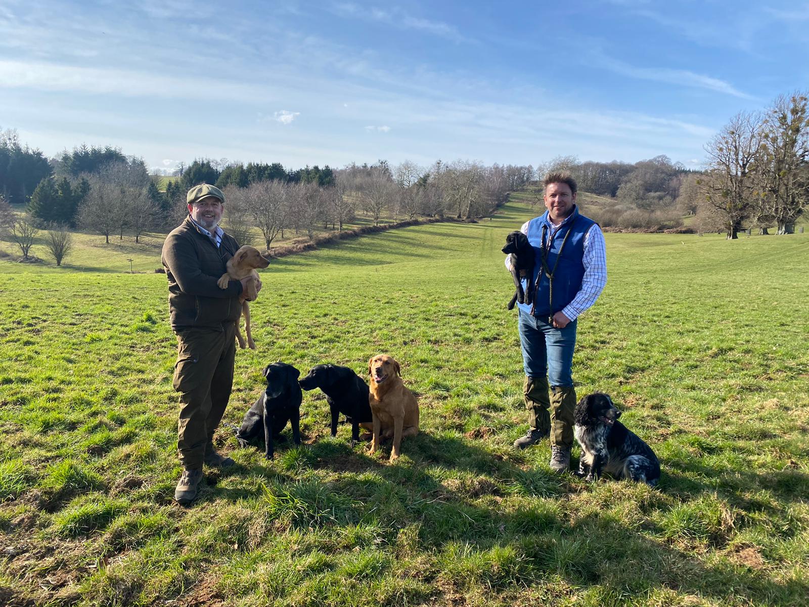 About – Jason Mayhew Gundog Training